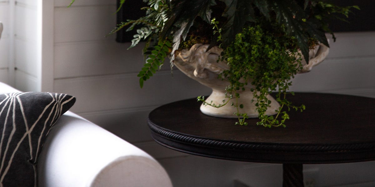 Simple Living | A Living Composition - by Carmella Rayone