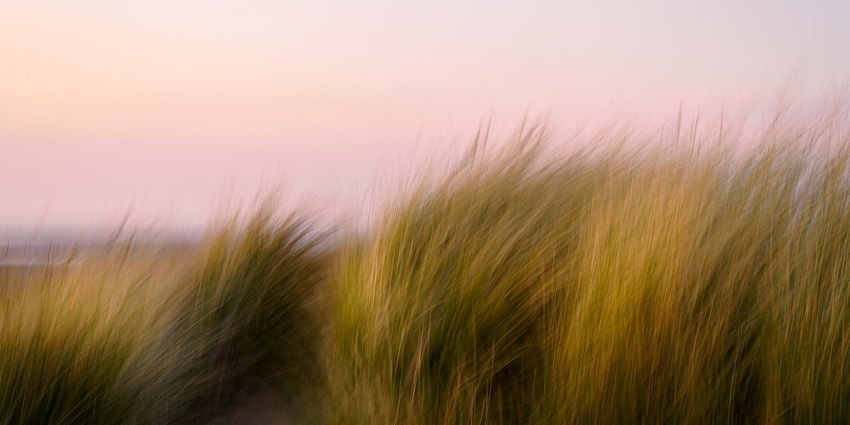 Sally Mason - by Tomasz Trzebiatowski - PHOTOSNACK