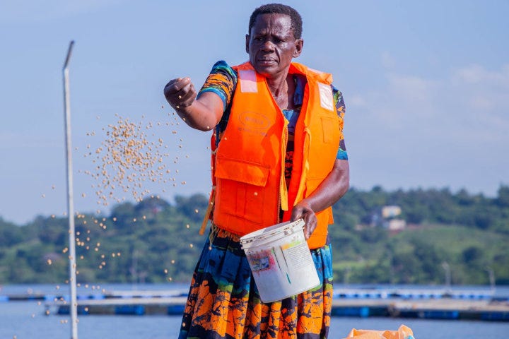 Kenyan fish farming platform Aquarech closes $1.7m funding
