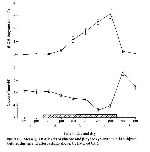 Intermittent fasting: a human biochemistry perspective