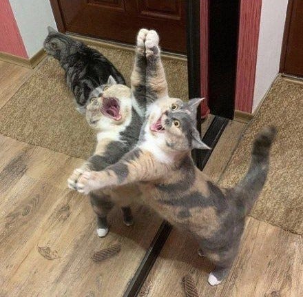 Deploy na Sexta #008: A programação pode ser teu ponto de partida, mas ...