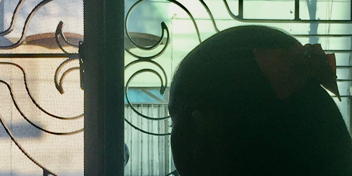 How do we co-exist with unfixable? - by Joyce Wycoff