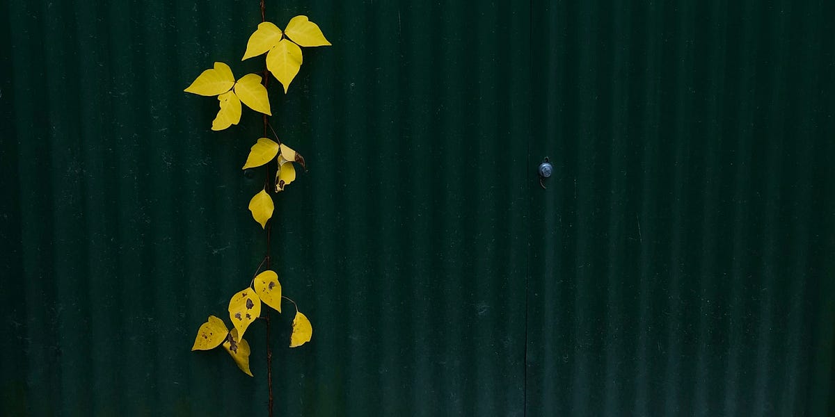 monopoly money - by Ashley Harkey - Fire & Wind Blog