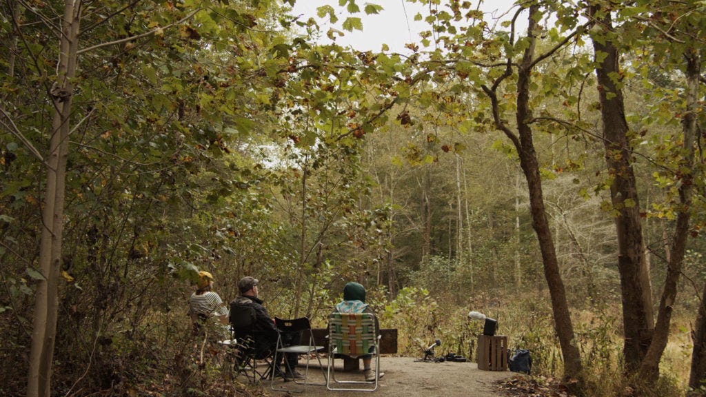 April Newsletter: In-Depth Article on Forest Listening Rooms