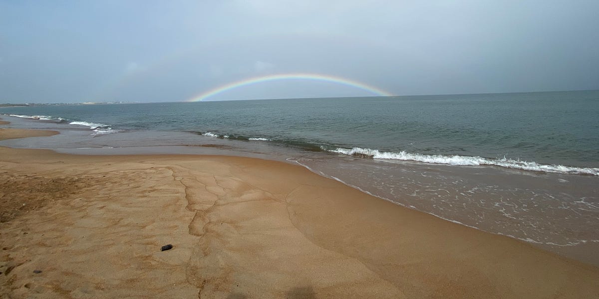 week 28 - by Shea Stanley - Shea’s Substack