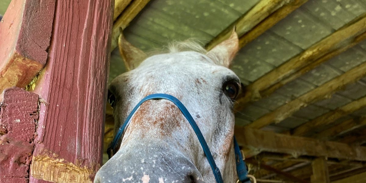 Happy New Year Riders!! - Mia Rides!!