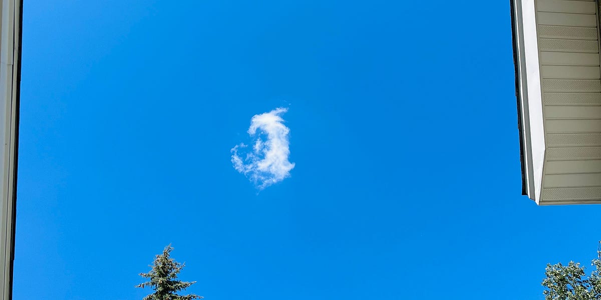 Sudden death - by laura hoenack - Lulubeans