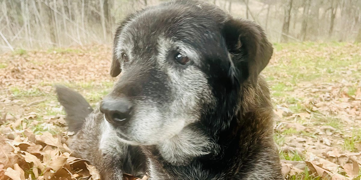 You hung on. - by Heidi Rutledge - Heidi’s Substack