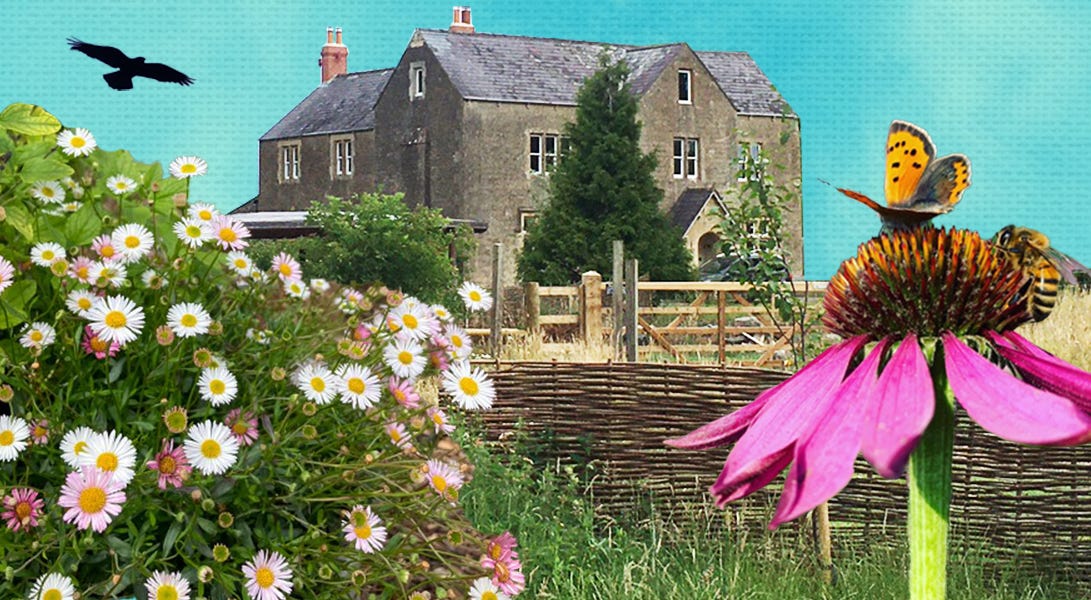 Vallis Farm continues Frome's market garden revival [WFJ #74]