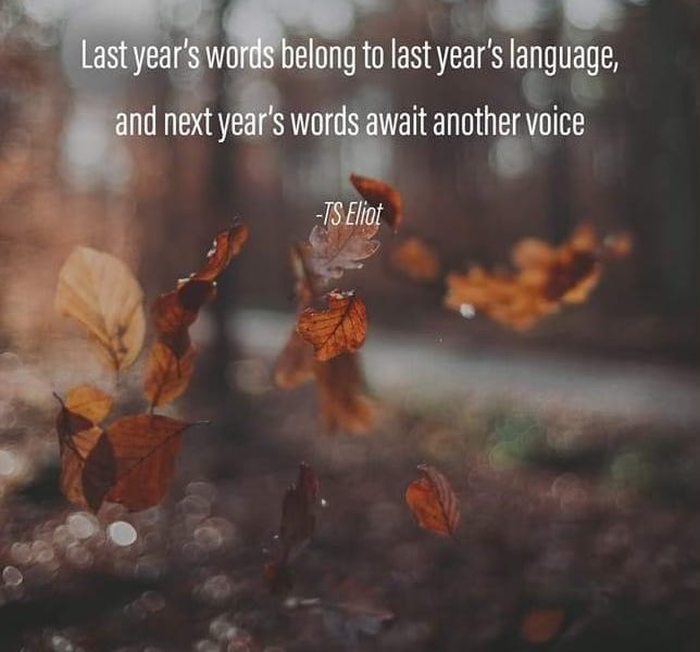 January 2024 - Julianne Harvey & Ruby Finch Books