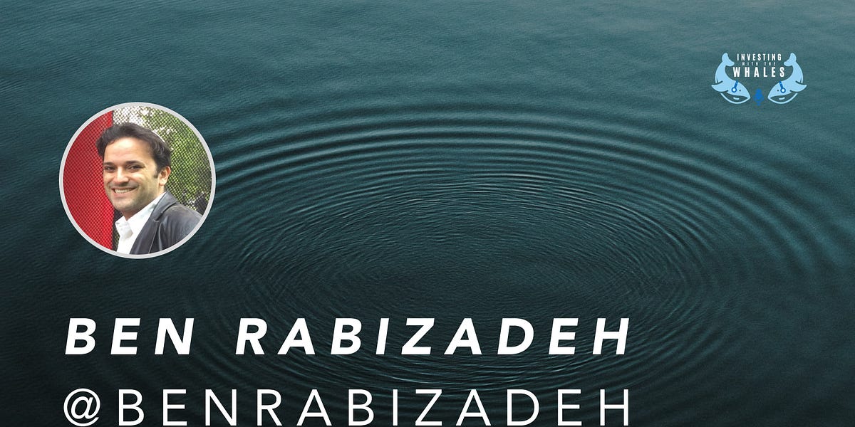 Investing With The Whales | Episode 40 | Interview with Ben Rabizadeh