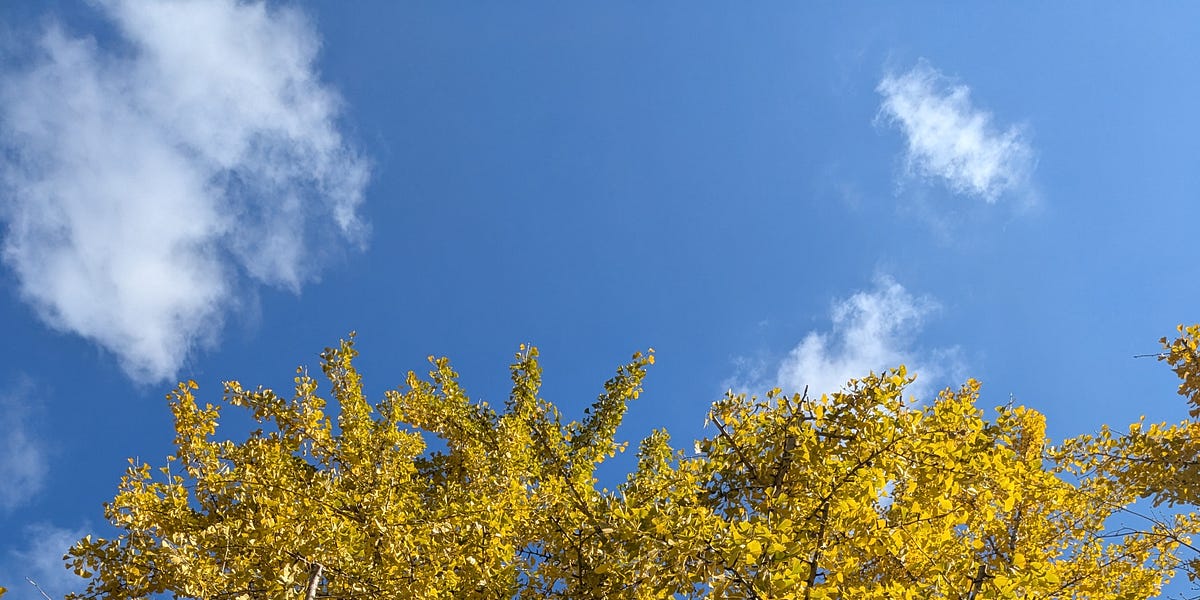 Integration of Self into Soil - by Narya Rose Deckard