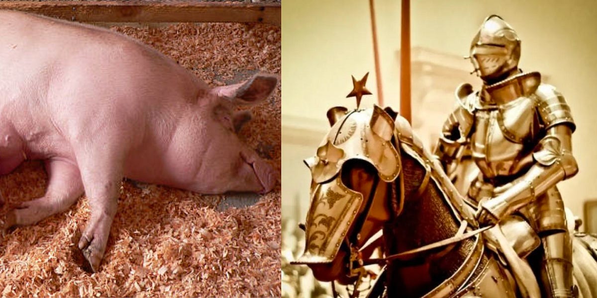 Nursemaid or knight? - chewing the cud with chad