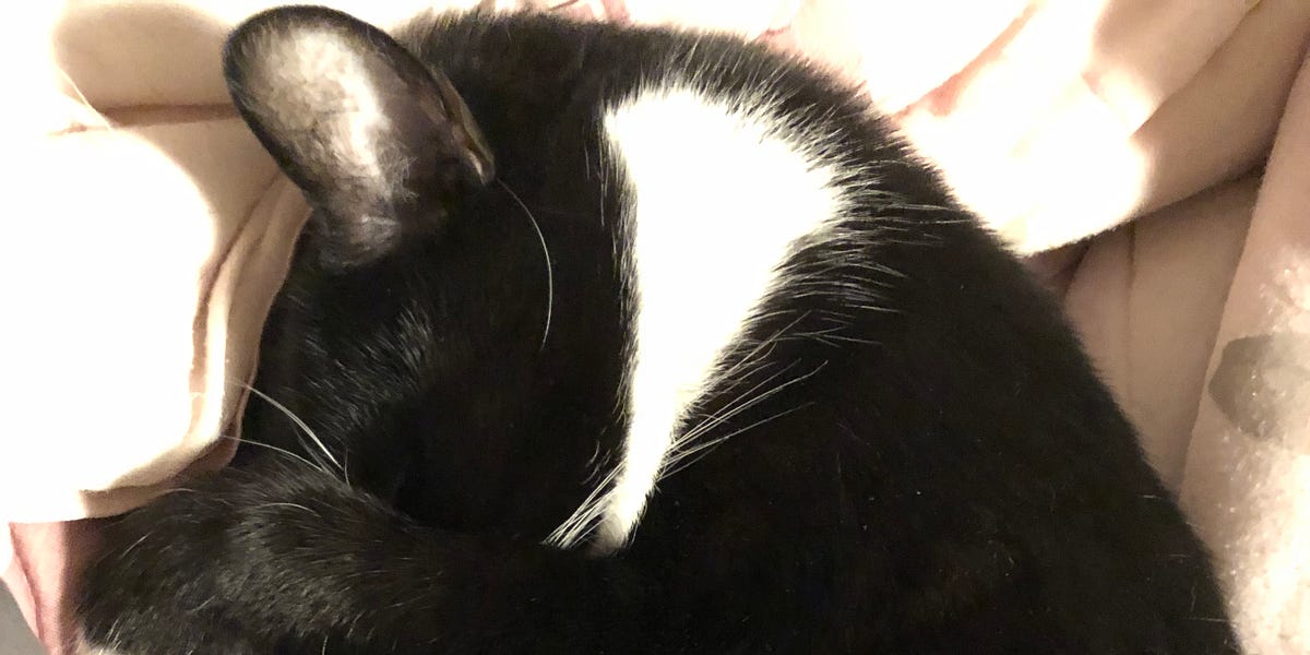 Making Room for Love - by Monisha Mittal