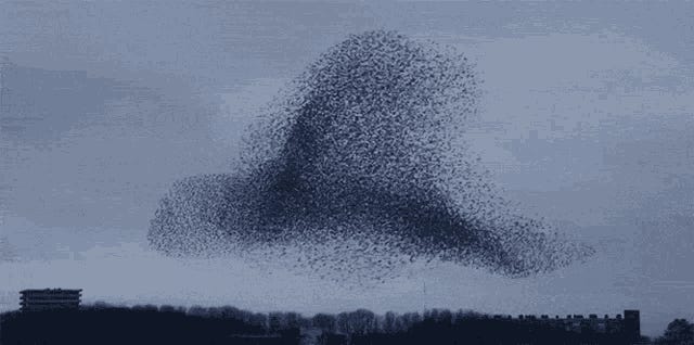 A Poem - by j.e. moyer, LPC