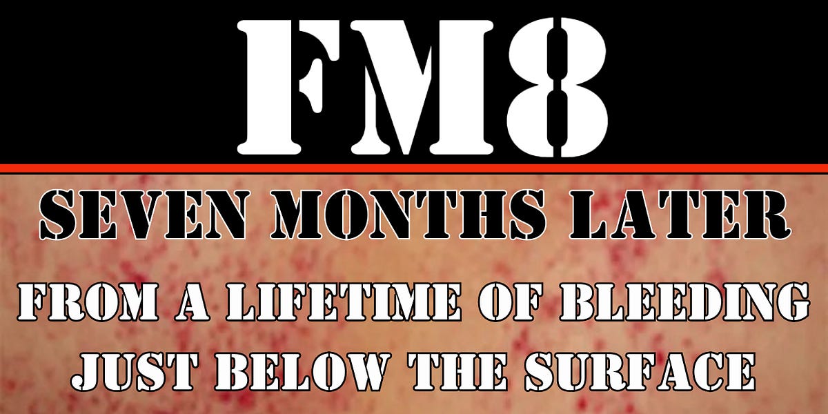 SEVEN MONTHS LATER - FM8’s Substack