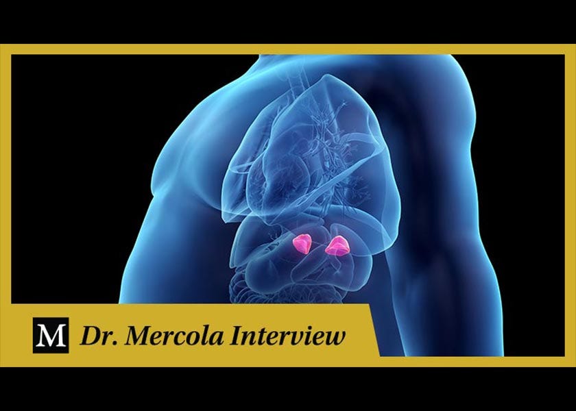 Georgi Dinkov Important Information About Low Carb Cortisol And Glucose