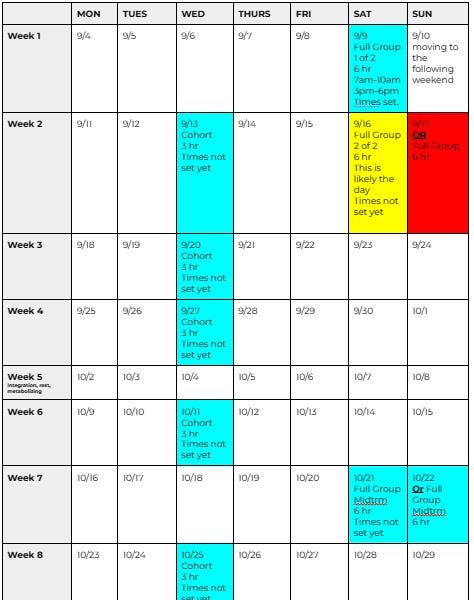 Online 45 hour 3 month course details