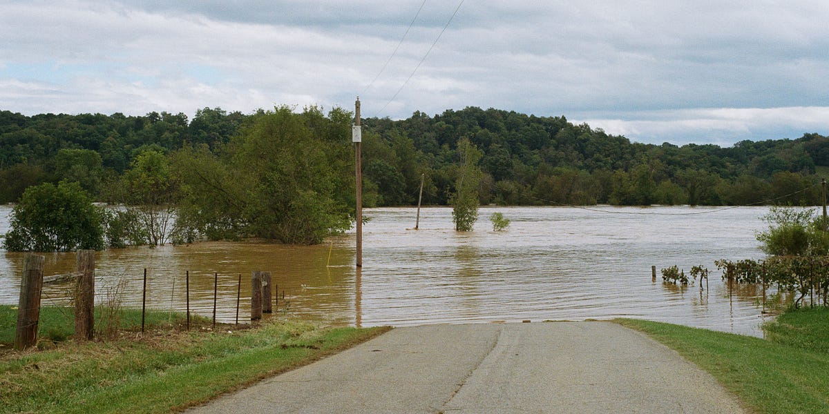 Hurricane Helene: A Seed Saver's Sorrow and Jim's Ballad