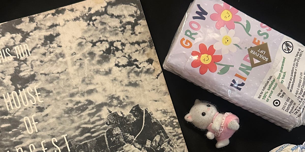 Reporting live from my bed - kayley sakamoto