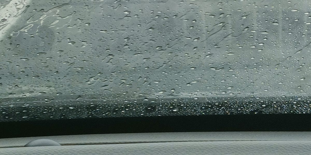 Going North - by Corina Shields - Corina’s Substack