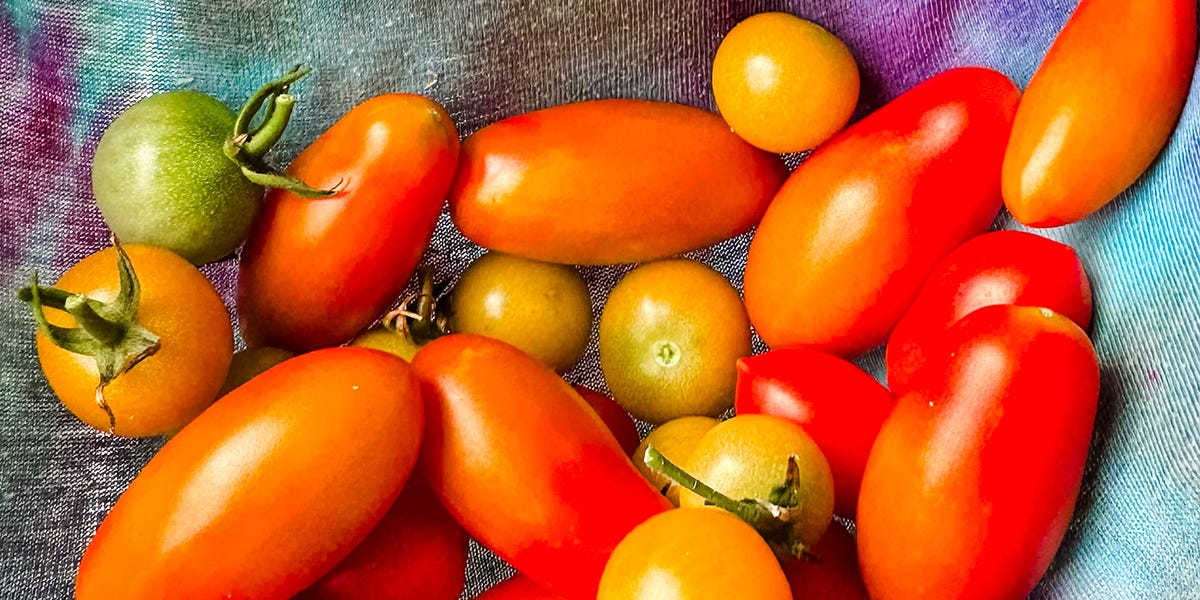 All About Tomatoes 🍅 - by Melissa Ben-Ishay