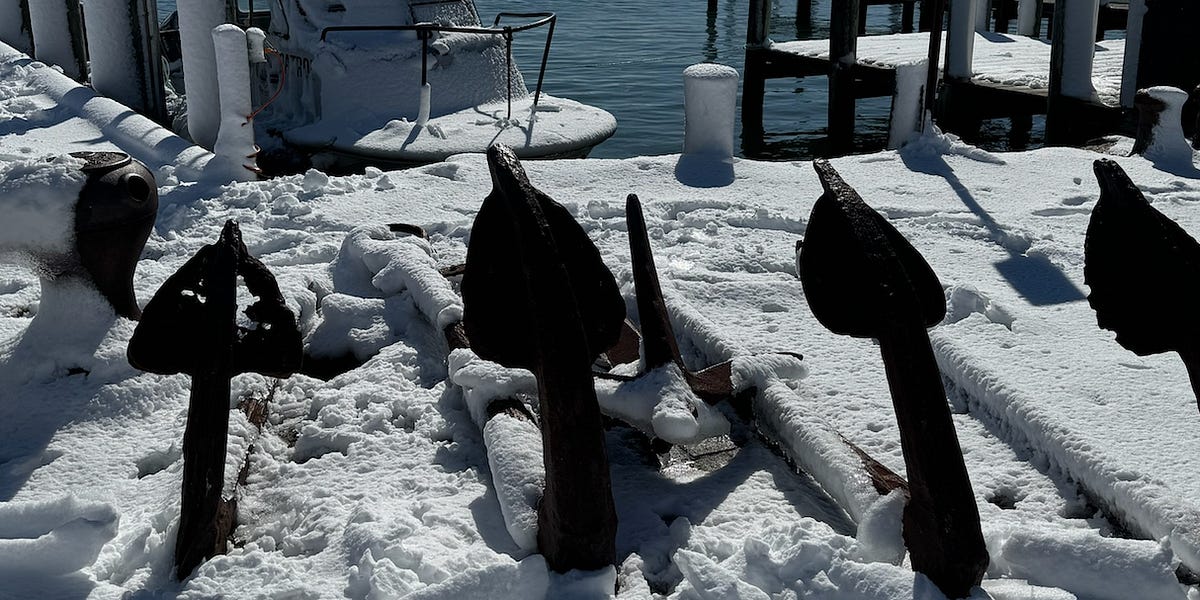 🌲Winter 2024 - Early 2025: Off-Season Activities Guide for Martha's ...