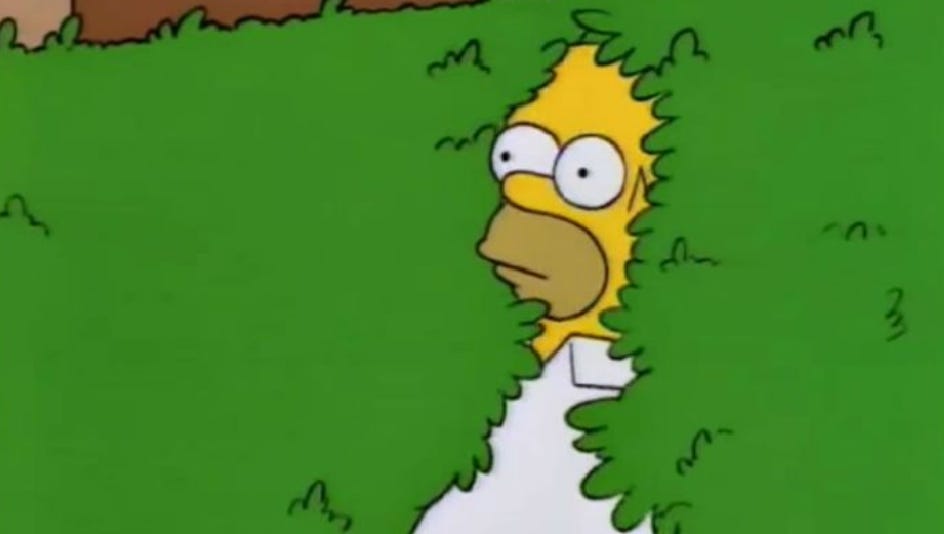 ⚡️¿Adidas lanza el zapato meme? - Marketing News