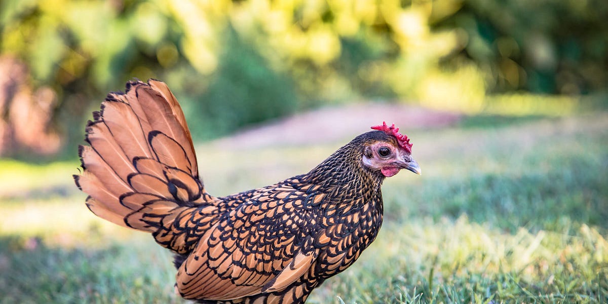 Day 1, Spring 2024 Mini 1000 - by Jami Attenberg