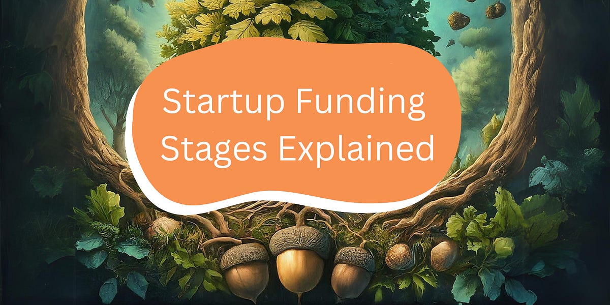 How Your Startup Can Grow From Seed to Star?