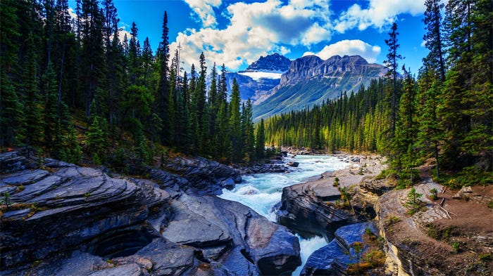 Why the 'Nifty Fifty' is my favorite camera lens