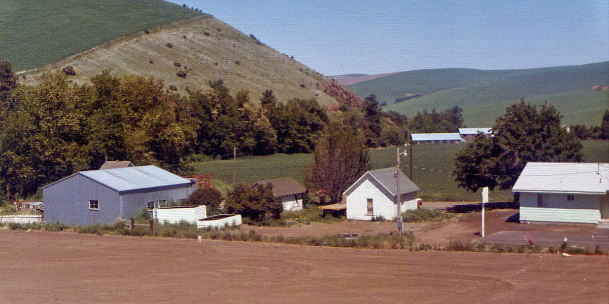 Review of President Biden's Green Book - by Paul Neiffer