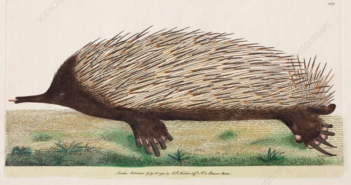 The Over-Under - by Justin Smith-Ruiu - The Hinternet