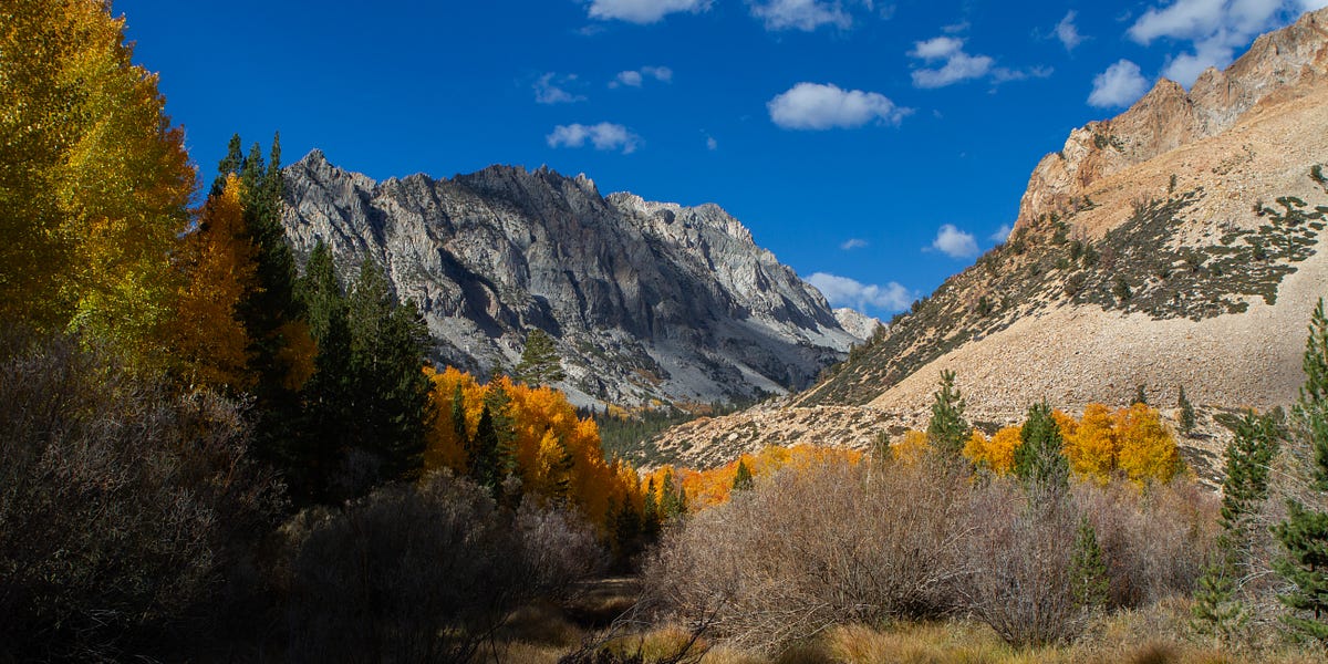 A Gentle Reminder - by Troy Putney