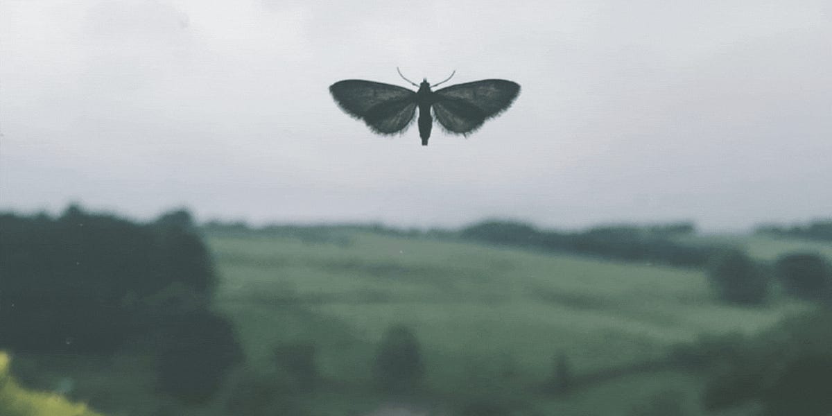 Hello & thank you! - The Substack Soirée