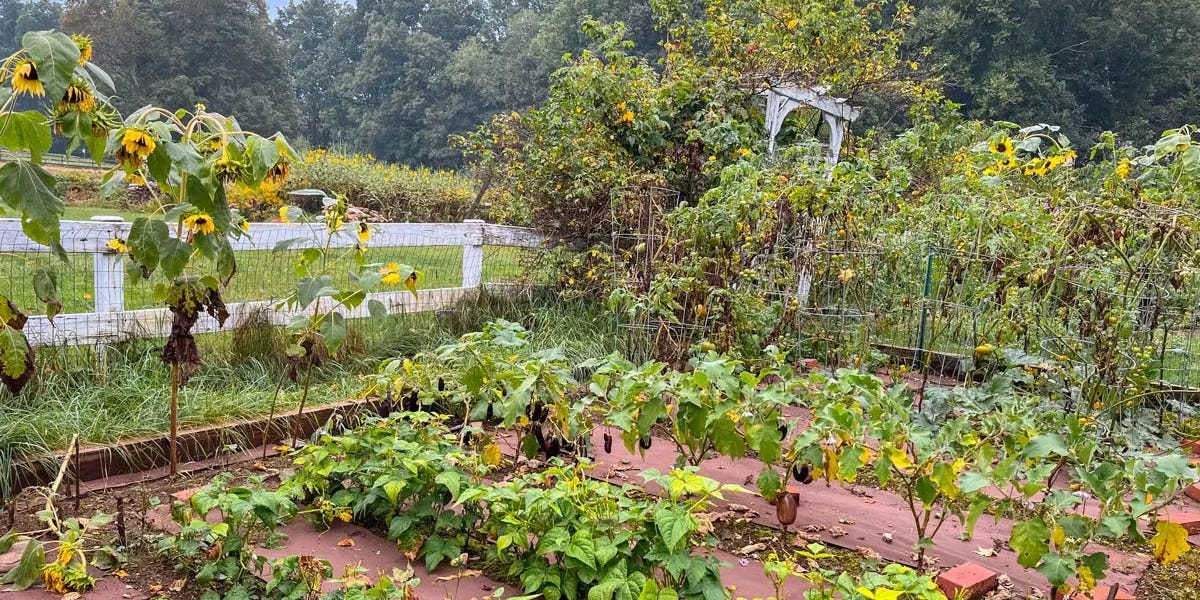 5 Systems for a Better Garden and Homestead