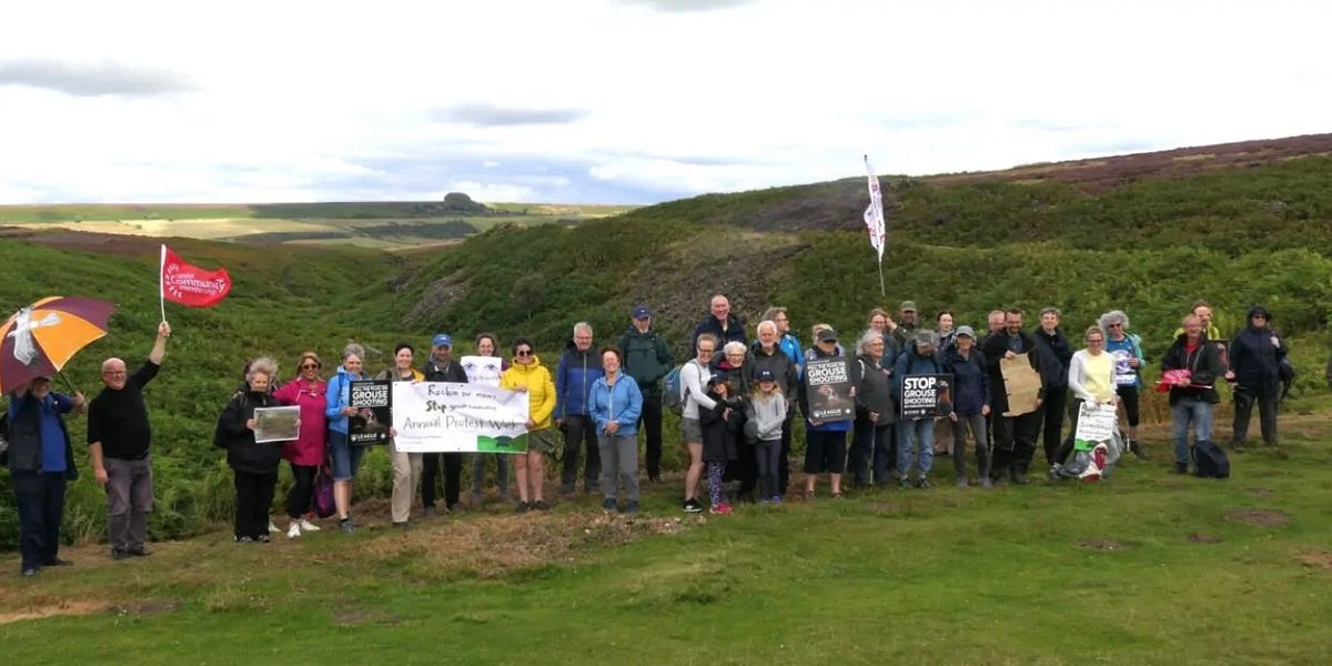 Reclaim Our Moors Walk 2023 (Moscar Moor)