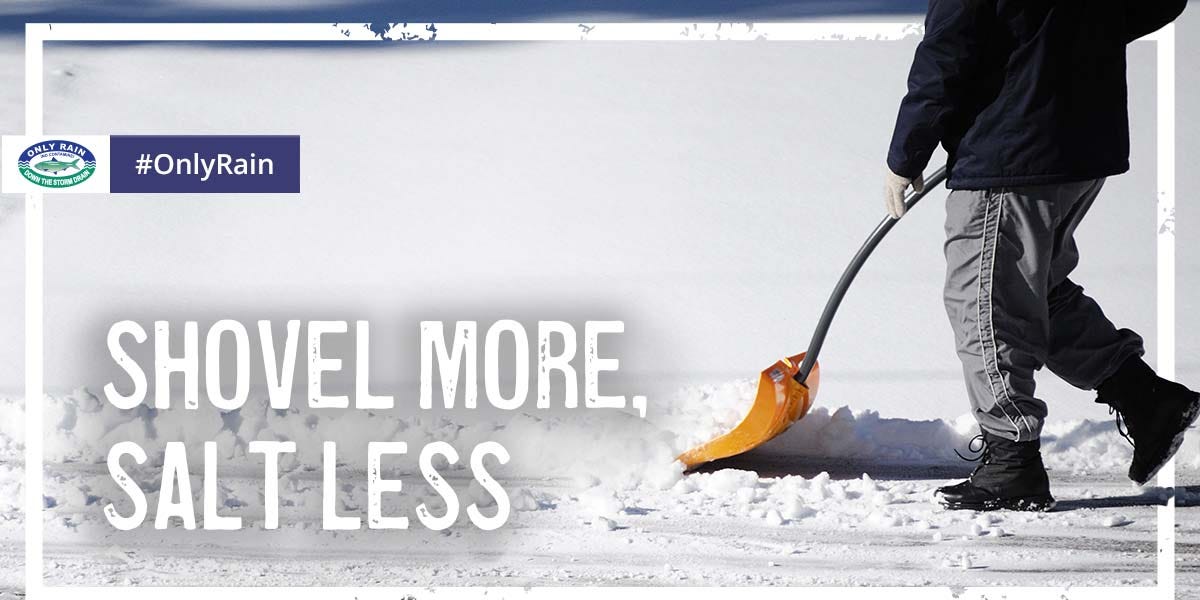 Ways to be Salt Smart this Winter - NoVA Region News