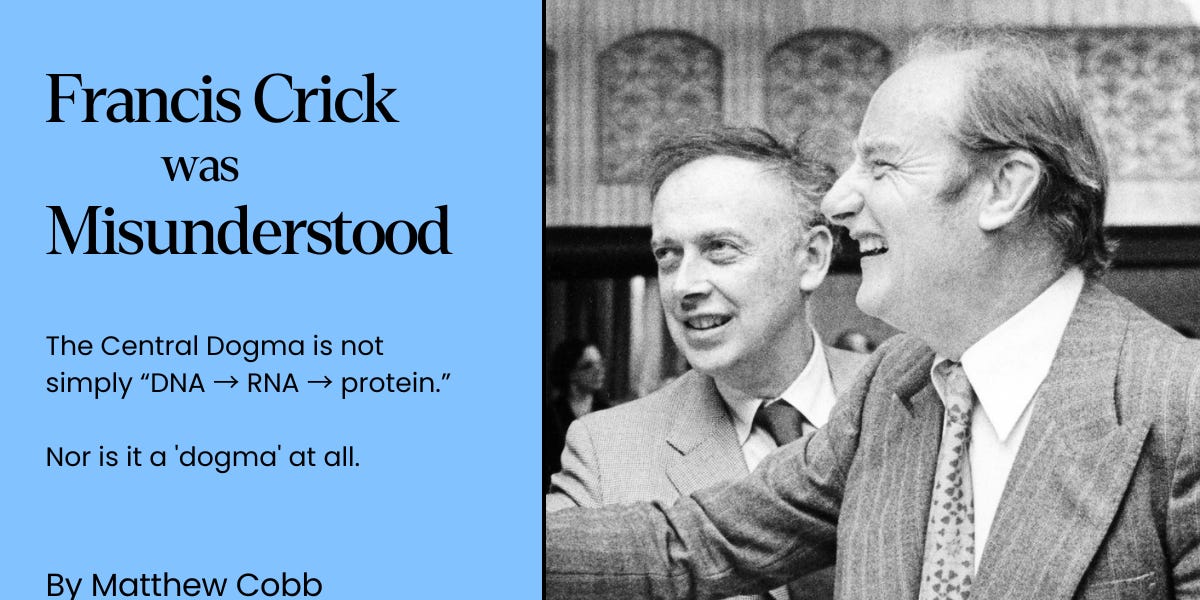 Francis Crick Was Misunderstood - Asimov Press