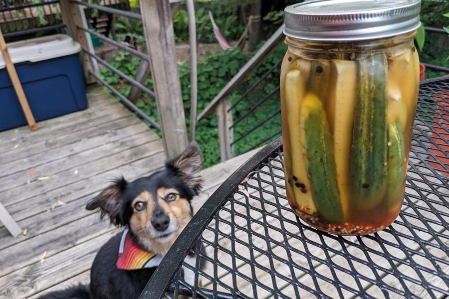 CSA Week 4 and Pickles! - by Nicki Dowland