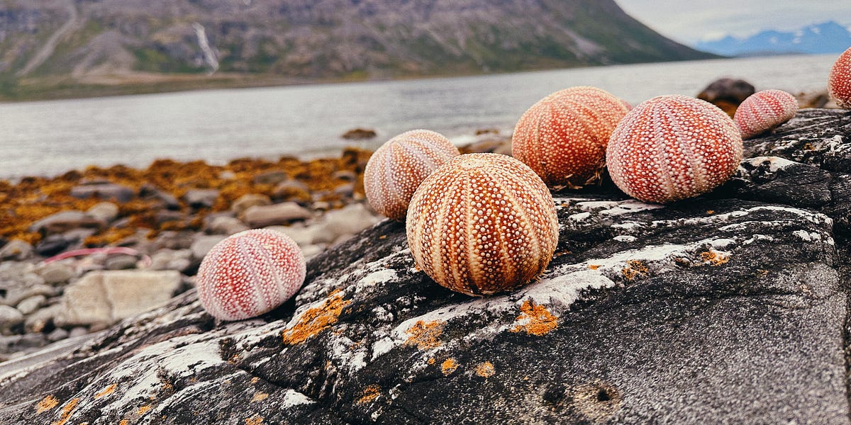 Capturing a Place - Creative Fuel with Anna Brones