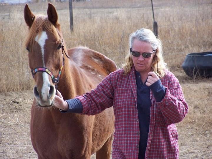 The Life of Nicky - Fat Turkey Farm