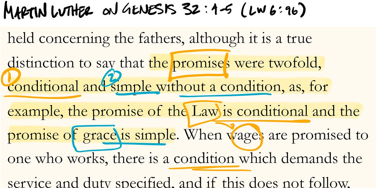 Two Kinds of Promise: Law and Gospel - by Bryan Wolfmueller