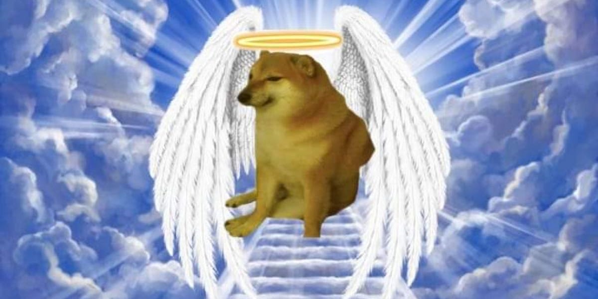 Bestiale #85 - Addio, Cheems! E grazie per tutti i meme 😔