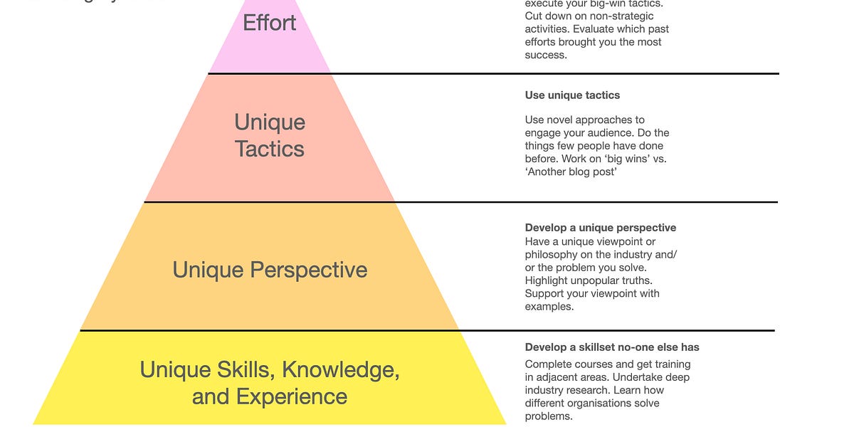 How To Stand Out And Build A Loyal Following in 2023