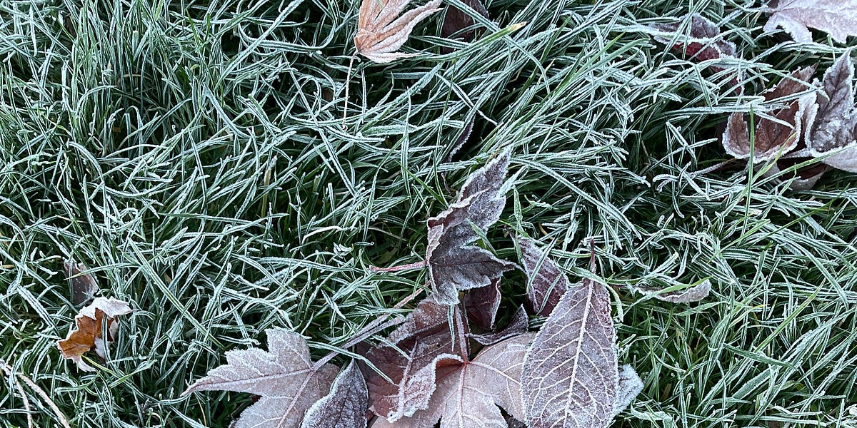 A Call to Rest - by Cameron Bellm