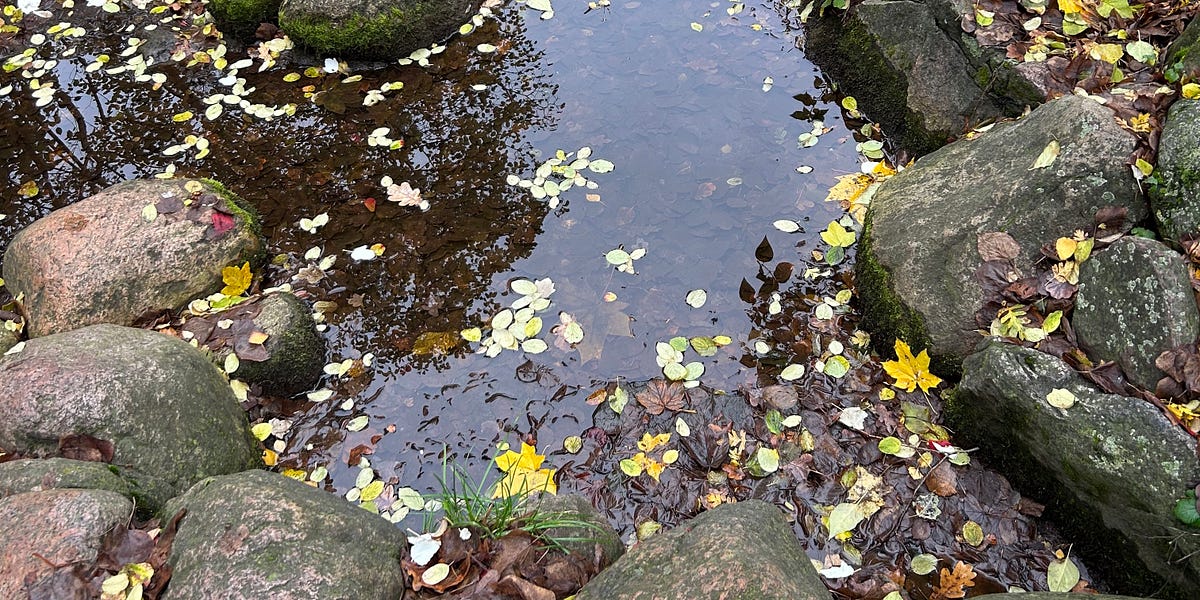 Niddah Book Excerpt: Avram's Blood