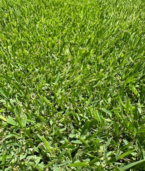 Arcs & Character Development [TMP #77]