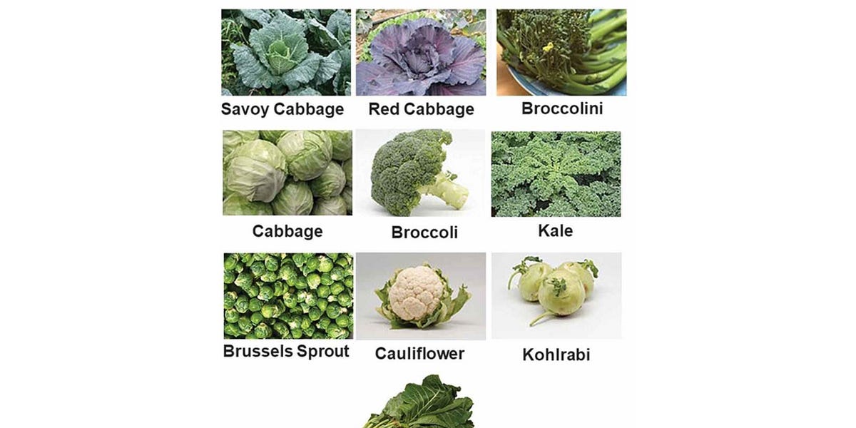 How Cruciferous Veggies May Protect the Gut