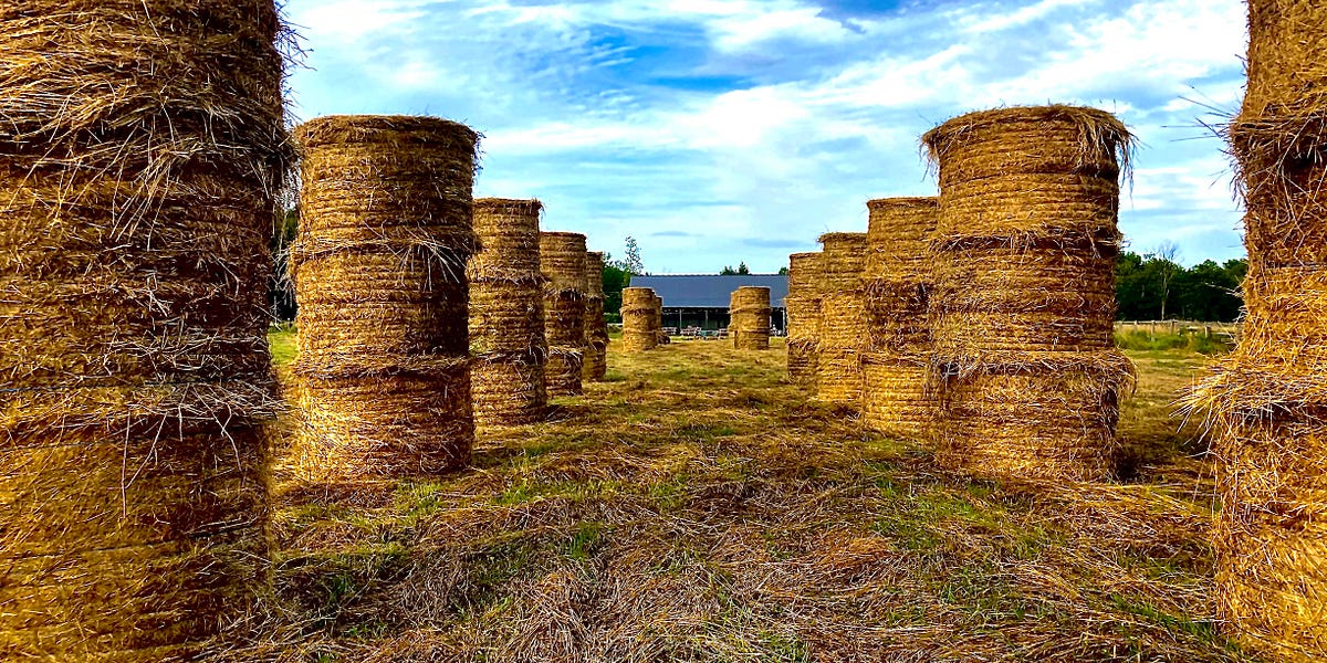 From Paris to New York to Montreal – to Owen Sound